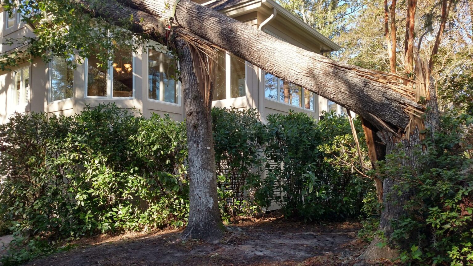 Storm Damage Recovery